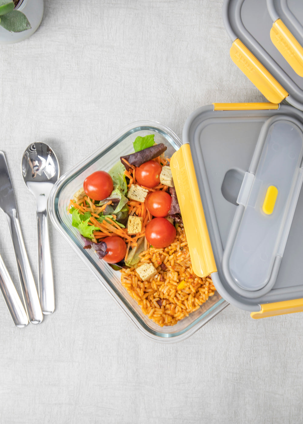 Built Stylist Glass 900ml Lunch Box with Cutlery – CookServeEnjoy