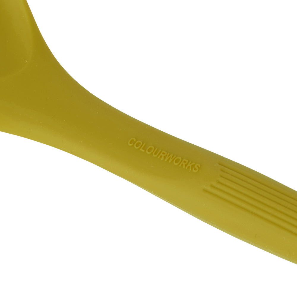 Colourworks Green Silicone Fish Slice with Raised Edge, Slotted Design ...